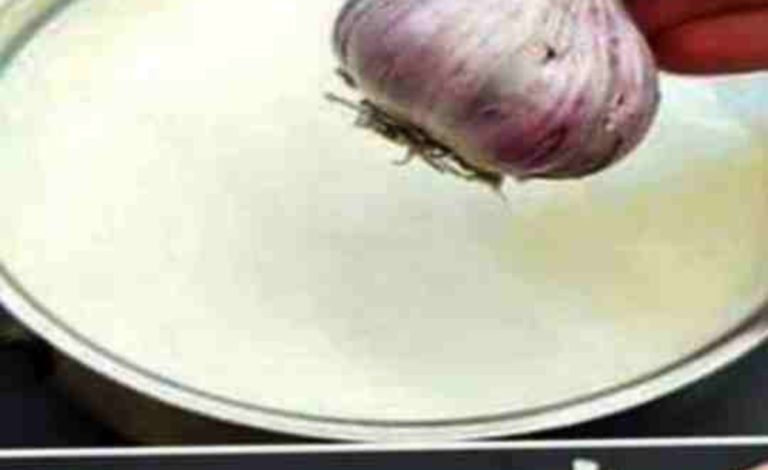 Unveiling the Potent Benefits of Garlic Milk: An Ancient Elixir for ...