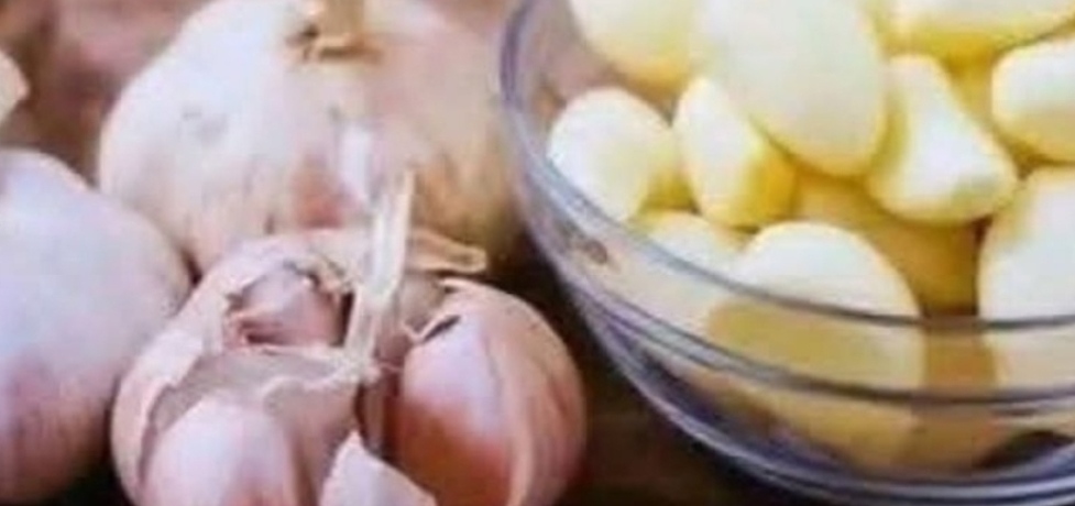 GARLIC KILLS 14 TYPES OF BACTERIA AND 13 TYPES OF INFECTIONS – Simple ...
